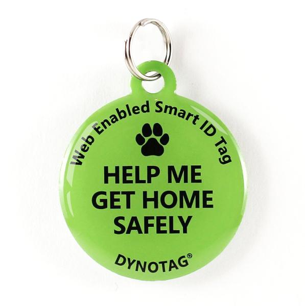 Dynotag Super Pet Tag - Polymer Coated Stainless Steel, Color GREEN ...